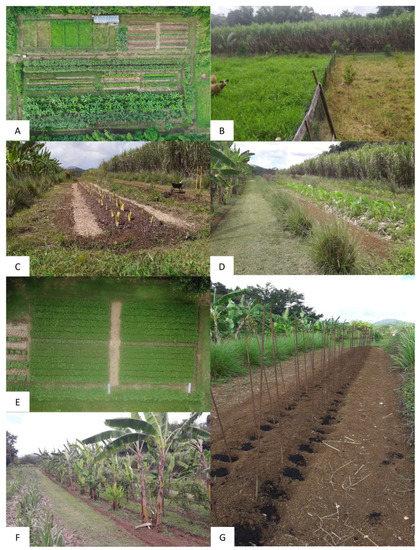 Co-Design and Experimentation of a Prototype of Agroecological Micro ...