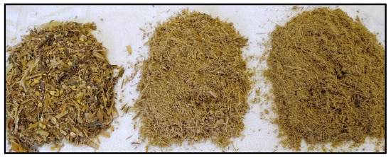 Impact—Shredding Processing of Whole-Plant Corn: Machine Performance ...