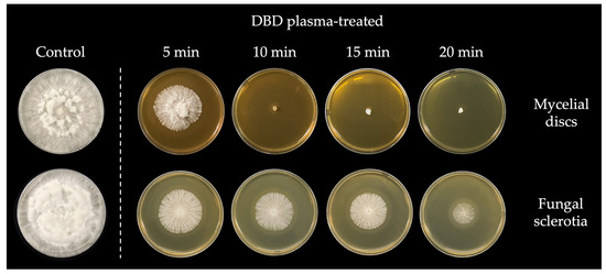 Potential of Nonthermal Atmospheric-Pressure Dielectric Barrier ...