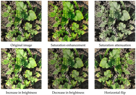 Weed Identification In Soybean Seedling Stage Based On Optimized Faster R Cnn Algorithm
