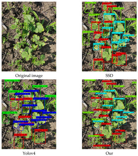 Weed Identification In Soybean Seedling Stage Based On Optimized Faster R Cnn Algorithm