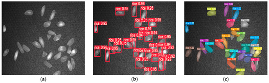 A Method of Polished Rice Image Segmentation Based on YO-LACTS for ...