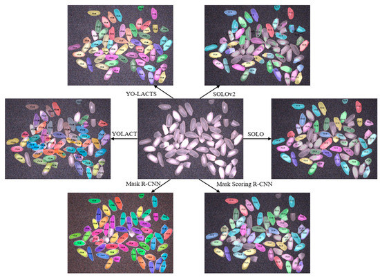 A Method of Polished Rice Image Segmentation Based on YO-LACTS for ...
