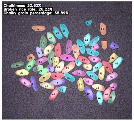A Method of Polished Rice Image Segmentation Based on YO-LACTS for ...