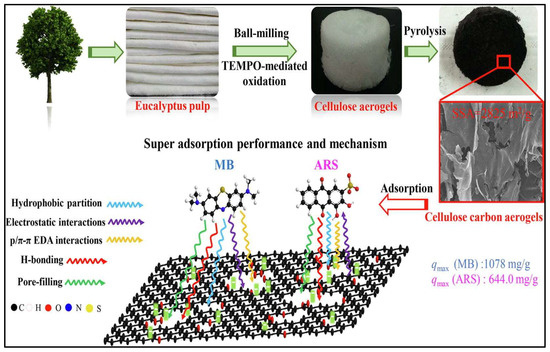 Agriculture | Free Full-Text | Recent Advances in Carbon and Activated ...