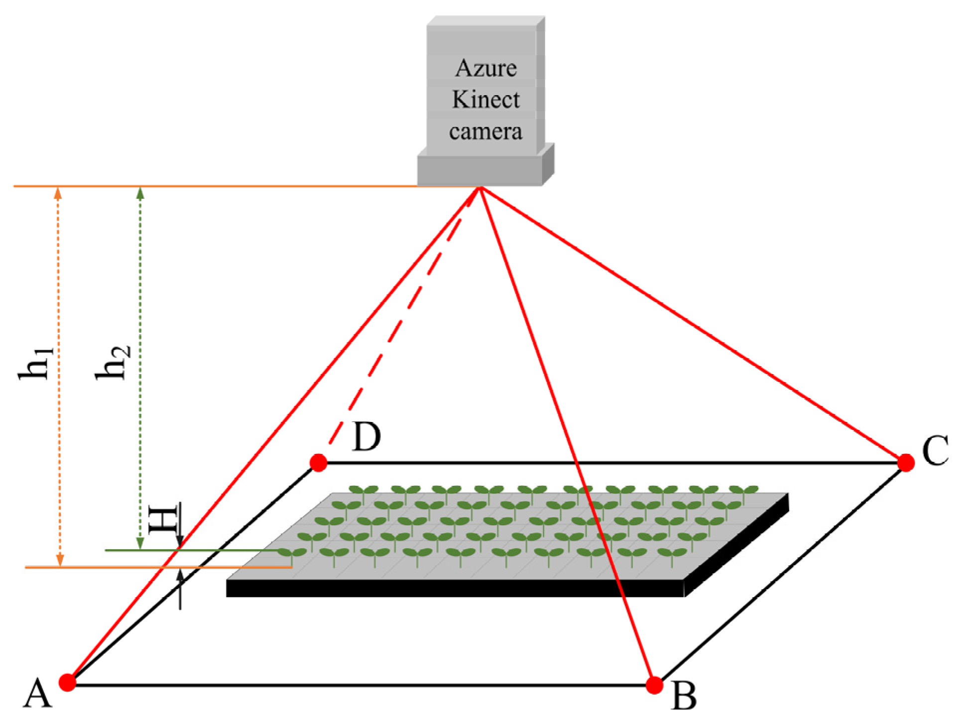 Early Identification and Localization Algorithm for Weak Seedlings ...