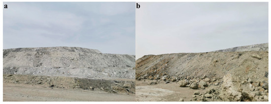 Research Progress of Soil and Vegetation Restoration Technology in Open ...