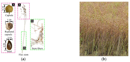 Optimal Design and Testing of a Crawler-Type Flax Combine Harvester