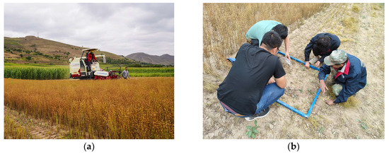 Optimal Design and Testing of a Crawler-Type Flax Combine Harvester
