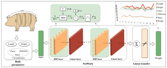 Live Pig-Weight Learning and Prediction Method Based on a Multilayer RBF Network