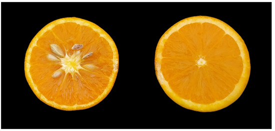 Sweet Orange: Evolution, Characterization, Varieties, and Breeding ...