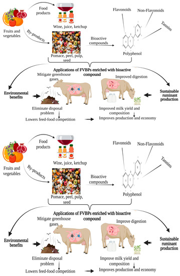 Potential of Fruits and Vegetable By-Products as an Alternative Feed ...
