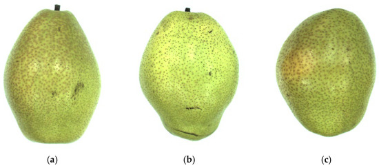Multi-Index Grading Method for Pear Appearance Quality Based on Machine ...