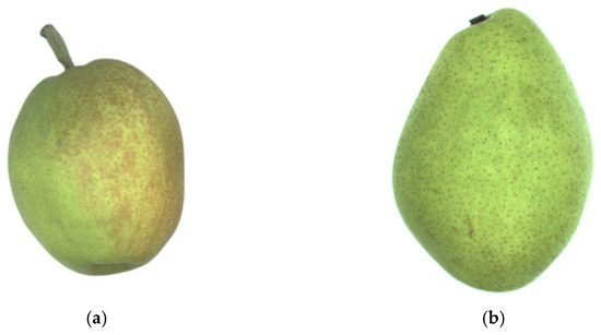 Multi-Index Grading Method for Pear Appearance Quality Based on Machine ...