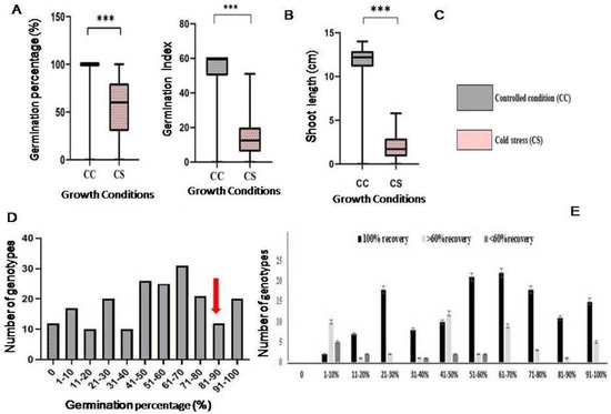 Cold Tolerance Mechanisms in Mungbean (Vigna radiata L.) Genotypes ...