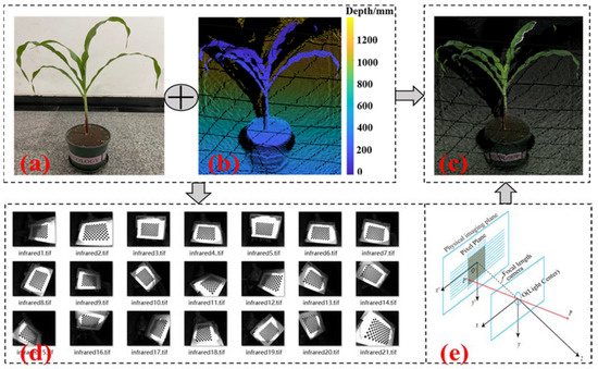 Global Reconstruction Method of Maize Population at Seedling Stage ...