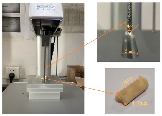 Parameter Calibration of Xinjiang Paperbark Walnut Kernels by Discrete Element Simulation