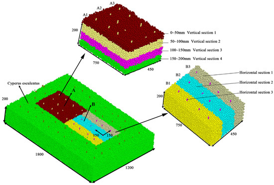 Agriculture | Free Full-Text | Analysis of Cyperus esculentus–Soil Dynamic Behavior during ...