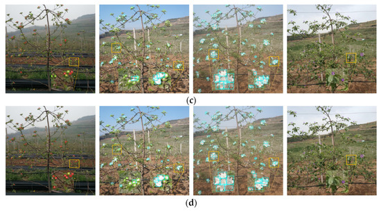 A Method of Modern Standardized Apple Orchard Flowering Monitoring ...