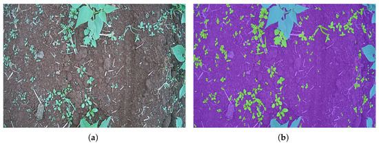 Low-Cost Robot for Agricultural Image Data Acquisition