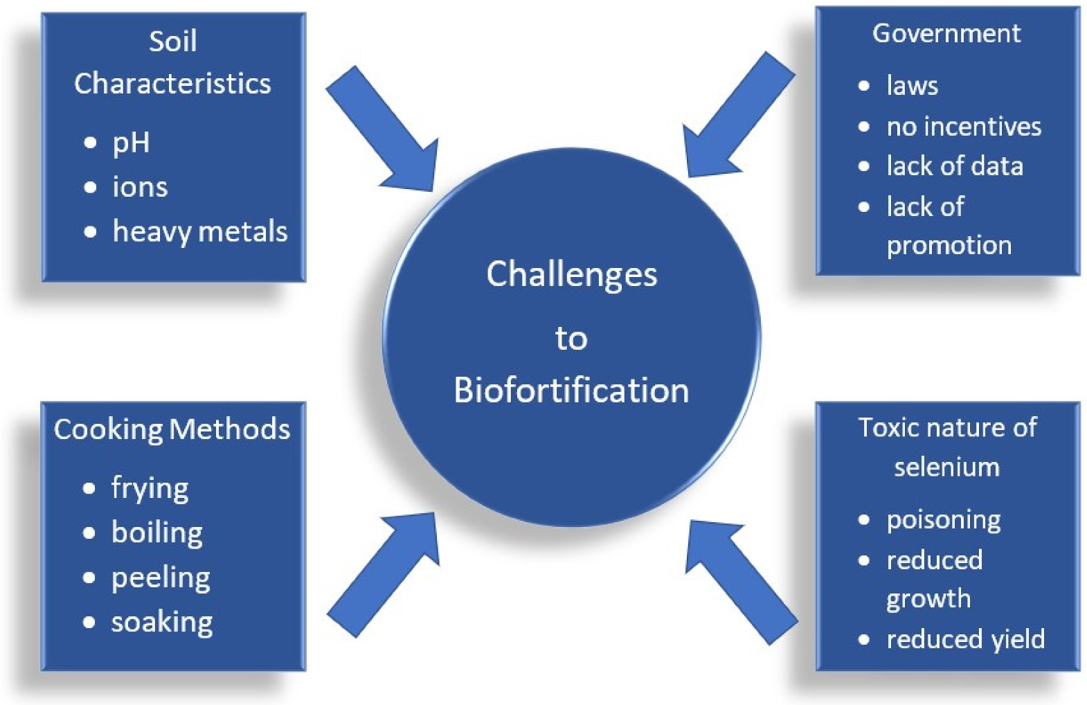 Selenium Biofortification: Strategies, Progress and Challenges