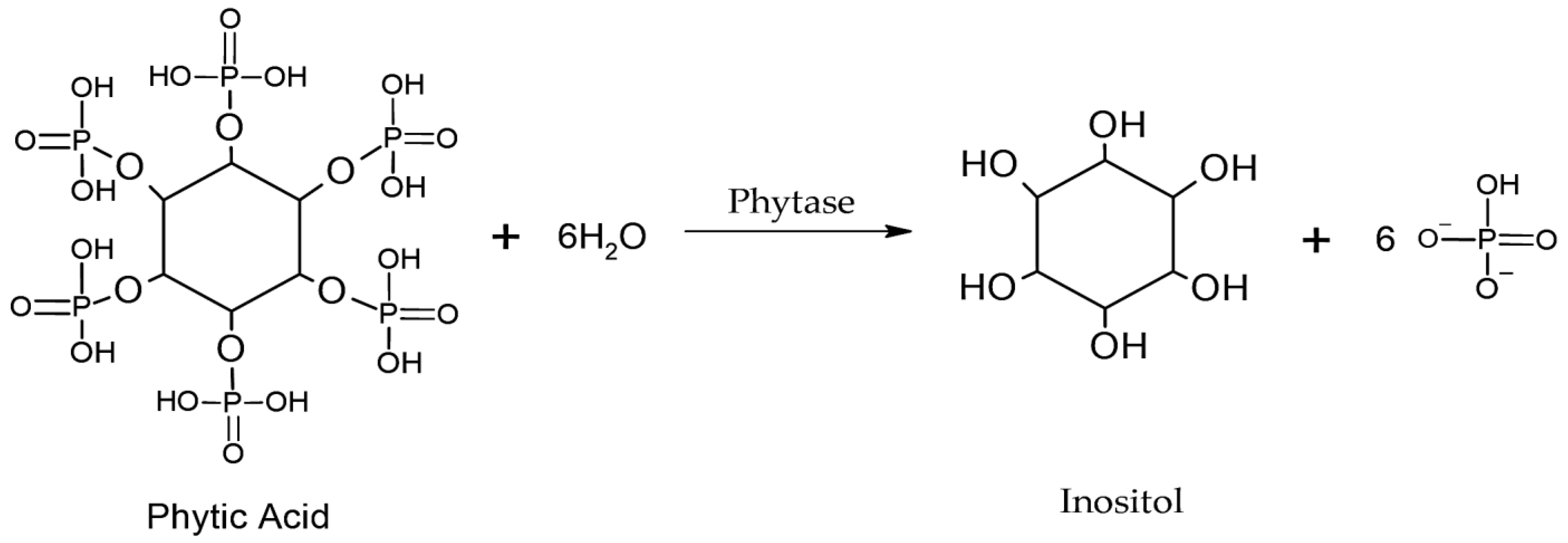 Phosphorus-Solubilizing Microorganisms: A Key to Sustainable Agriculture