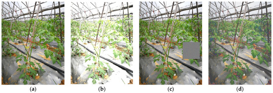 Crop Node Detection and Internode Length Estimation Using an Improved YOLOv5 Model