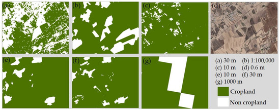 Extraction of Cropland Spatial Distribution Information Using Multi ...