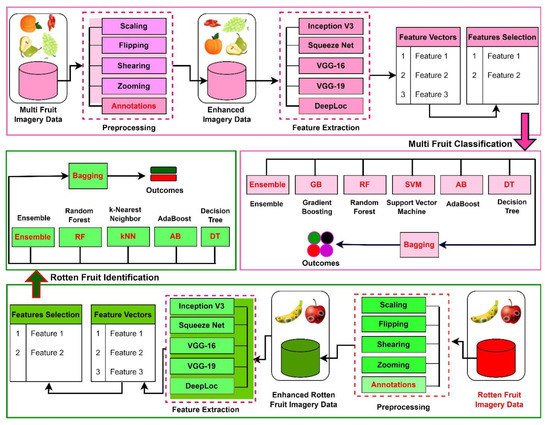 On Precision Agriculture: Enhanced Automated Fruit Disease Identification and Classification ...