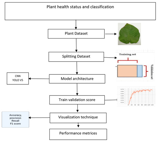 Real-Time Plant Health Detection Using Deep Convolutional Neural Networks