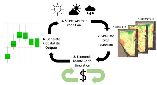 Agriculture | Free Full-Text | Towards a Low-Cost Comprehensive Process ...