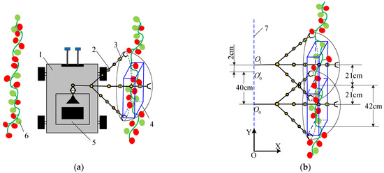 Greenhouse Tomato Picking Robot Chassis