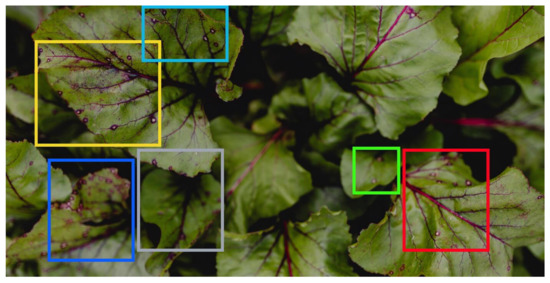 A Survey on Deep Learning and Its Impact on Agriculture: Challenges and ...