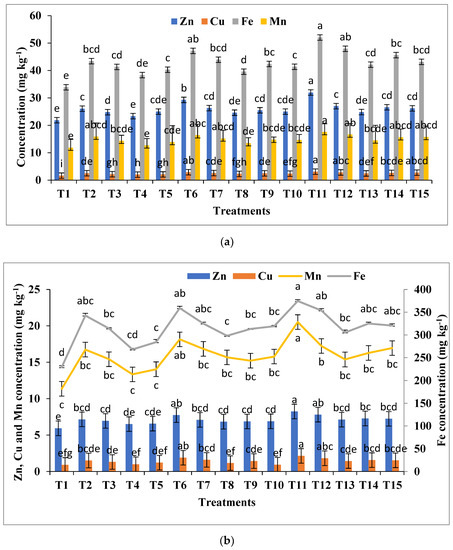 Residual Effect of Organic and Inorganic Fertilizers on Growth, Yield ...