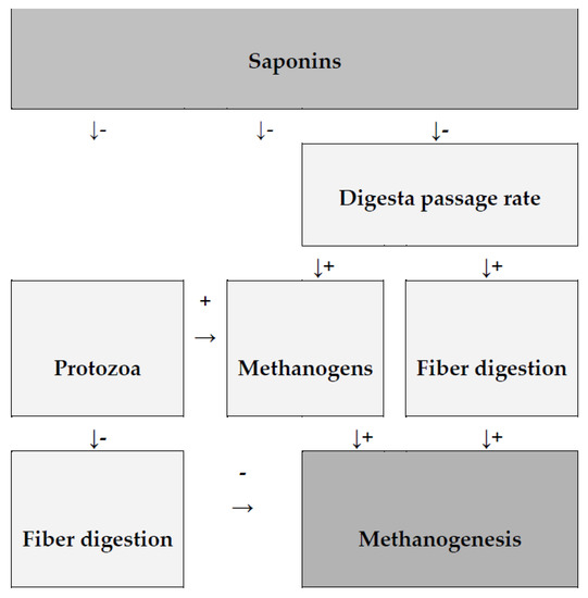 Strategies Used to Reduce Methane Emissions from Ruminants ...