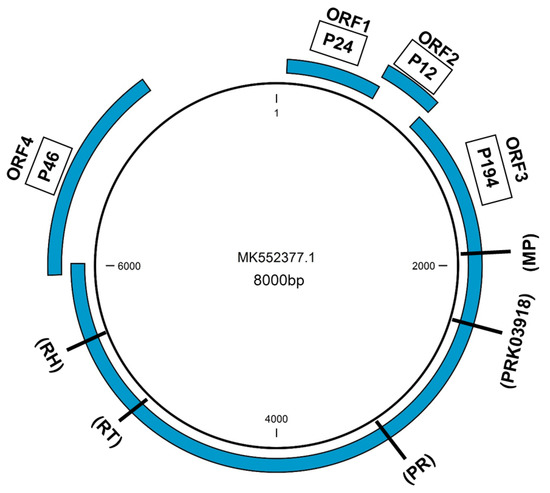 Candidate miRNAs from Oryza sativa for Silencing the Rice Tungro Viruses