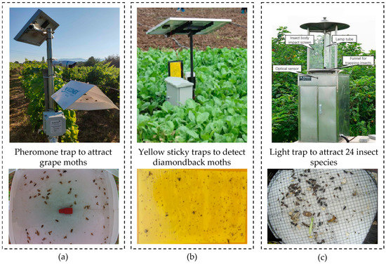 Agriculture | Free Full-Text | A Systematic Review on Automatic Insect Detection Using Deep Learning