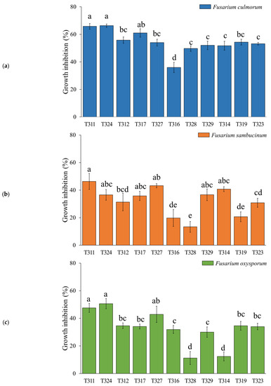 Native Trichoderma Isolates from Soil and Rootstock to Fusarium spp ...