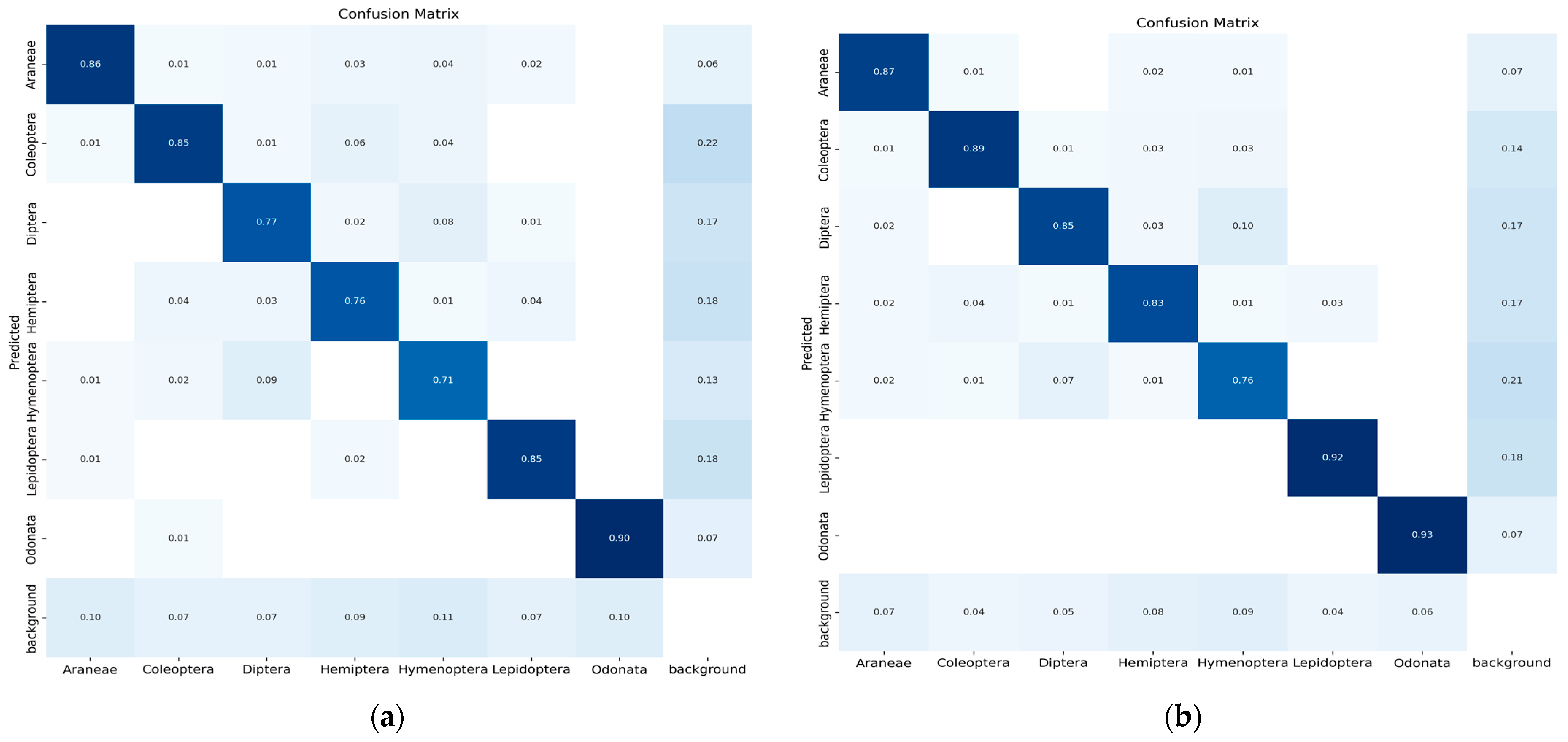 Agriculture Free Full Text Yolo Based Light Weight Deep Learning Models For Insect Detection