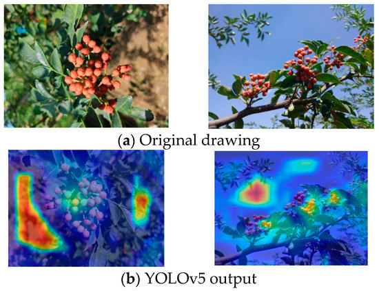 Design and Experiment of a Visual Detection System for Zanthoxylum ...