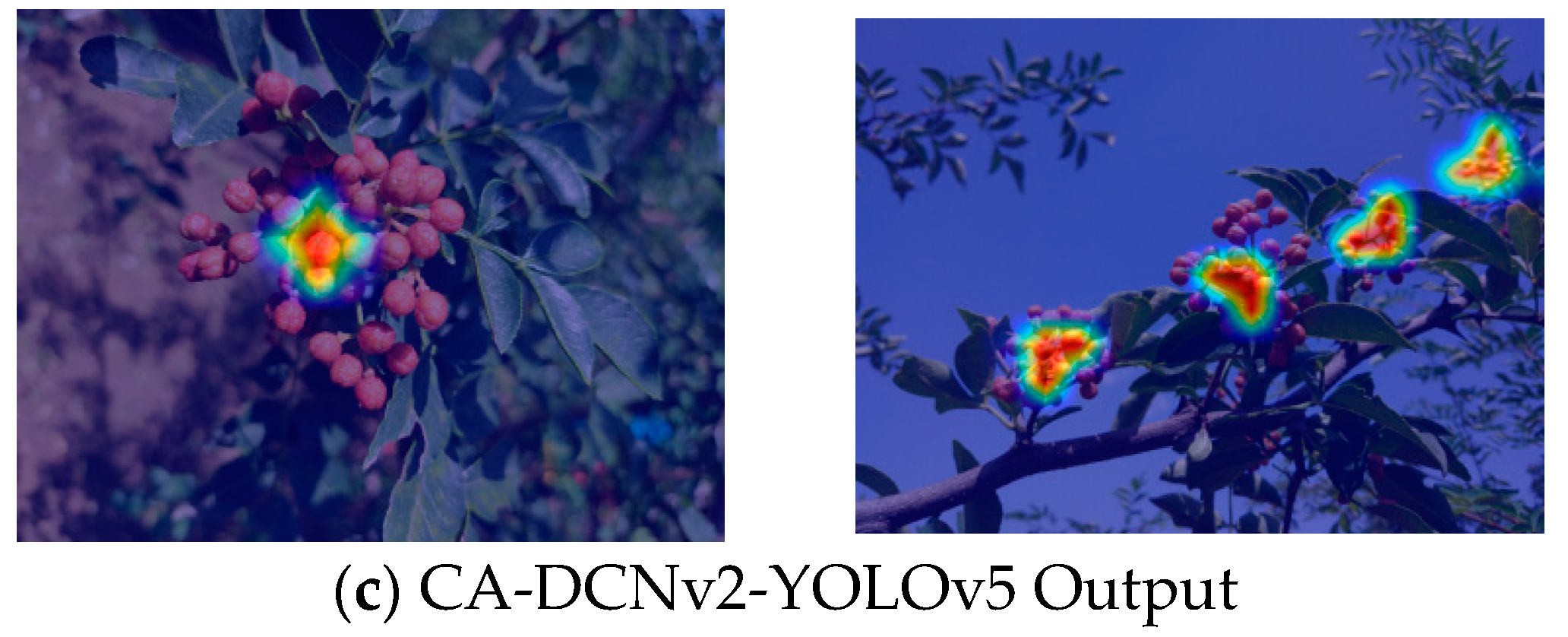 Design and Experiment of a Visual Detection System for Zanthoxylum ...
