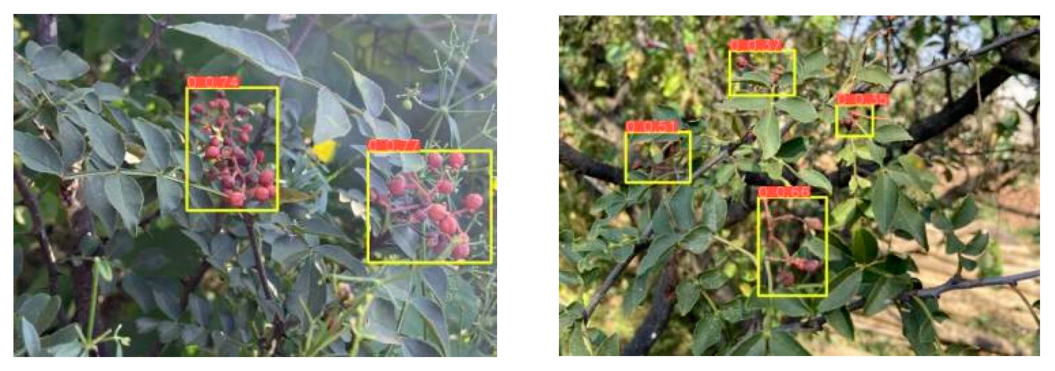Design and Experiment of a Visual Detection System for Zanthoxylum ...