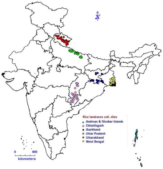 SSR and SNP Marker-Based Investigation of Indian Rice Landraces in ...
