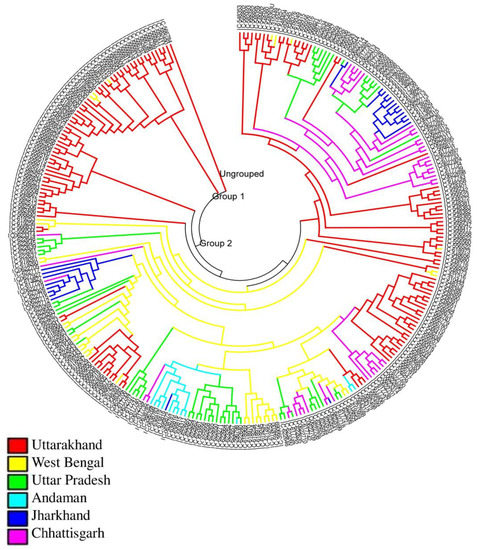SSR and SNP Marker-Based Investigation of Indian Rice Landraces in Relation to Their Genetic ...