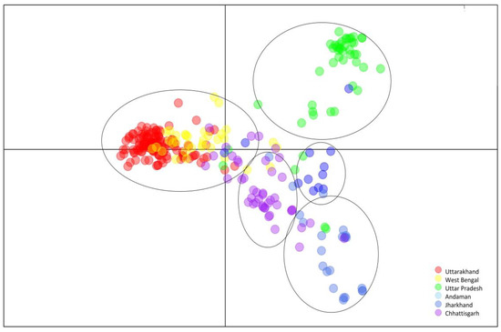 SSR and SNP Marker-Based Investigation of Indian Rice Landraces in ...
