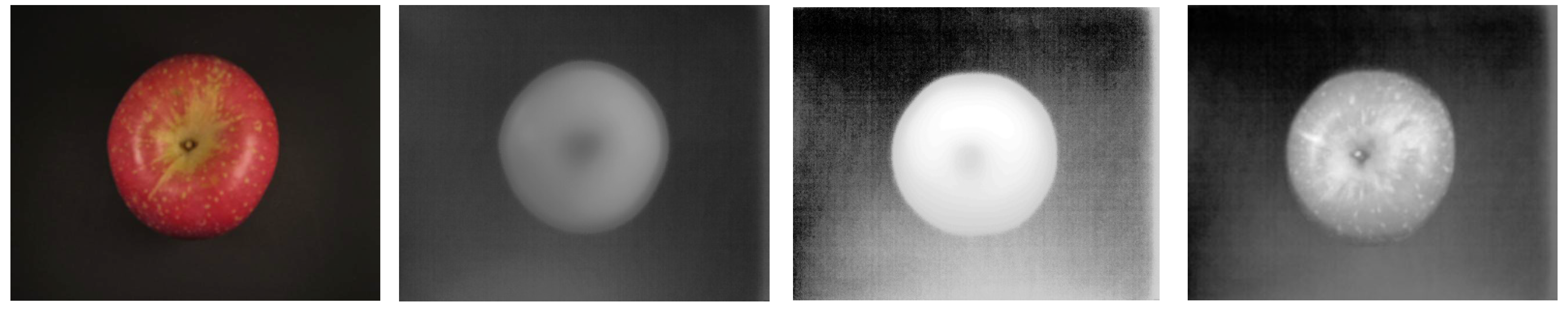 Apple Surface Defect Detection Method Based on Weight Comparison ...