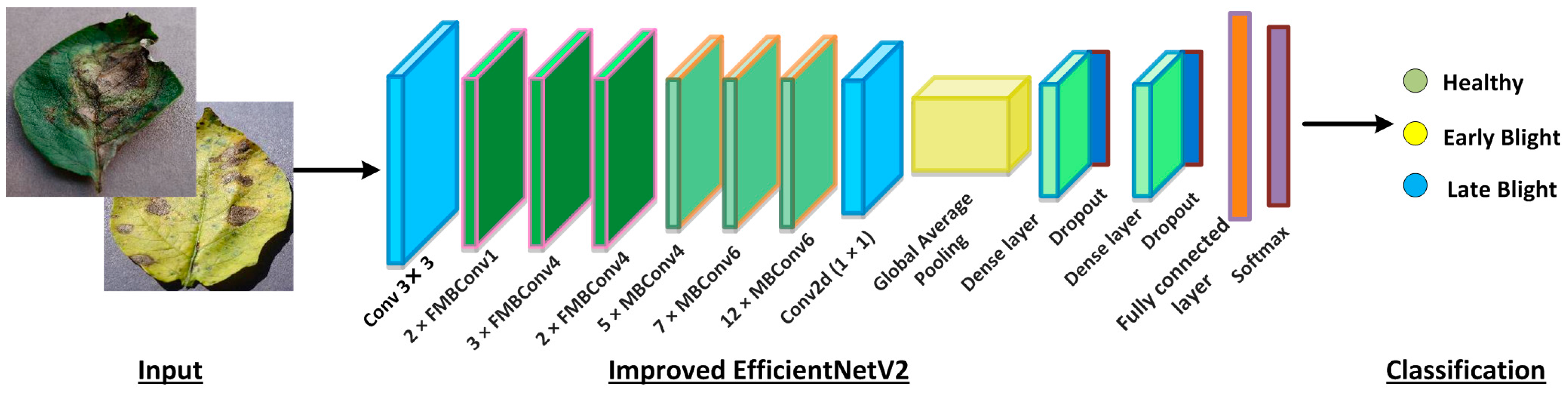 EfficientPNet—An Optimized and Efficient Deep Learning Approach for ...