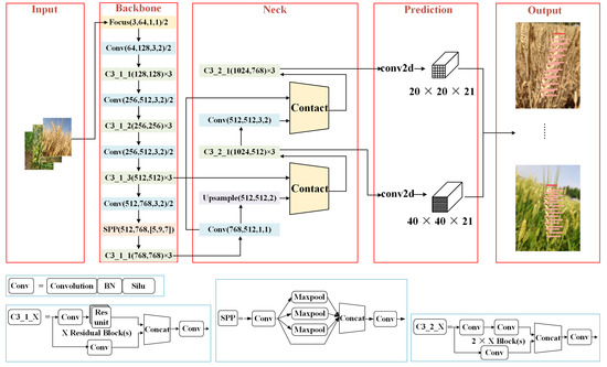 YOLOv5s-T: A Lightweight Small Object Detection Method for Wheat Spikelet Counting