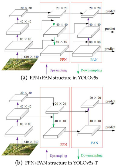 YOLOv5s-T: A Lightweight Small Object Detection Method for Wheat ...