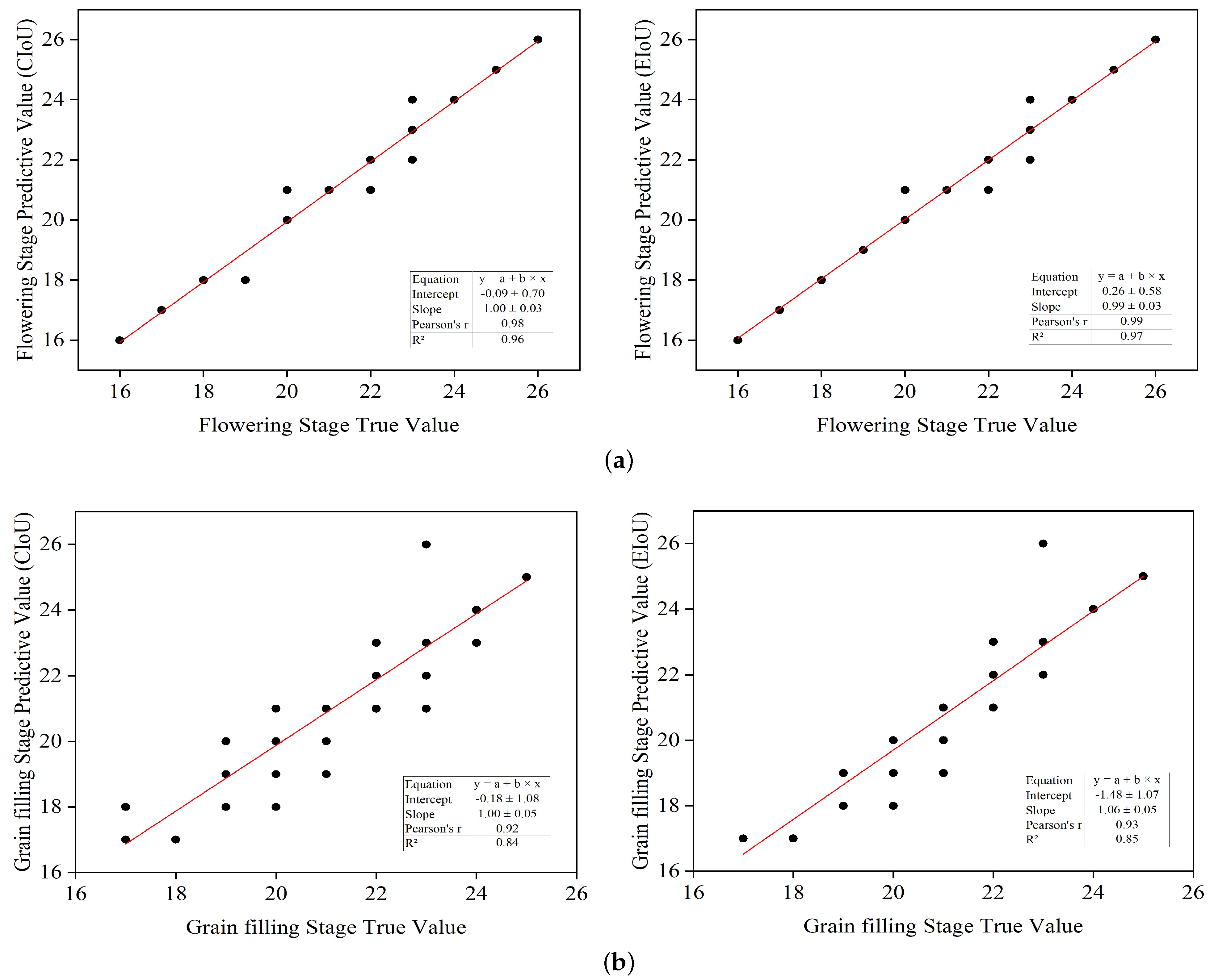 Yolov5s T A Lightweight Small Object Detection Method For Wheat Spikelet Counting